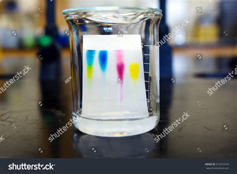 256 Thin Layer Chromatography Images Stock Photos Vectors Shutterstock
