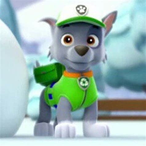 Rocky Wiki Pawpatrol Amino
