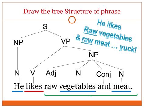 How To Build A Tree Diagrams Answer Key For Homework And Review1 PPT