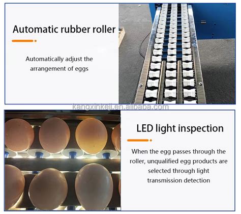 Manual Sorting Machine Chicken Egg Grader Buy Egg Sorting Machine