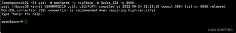 使用tpdss连接gaussdb数据库（分布式） Csdn博客