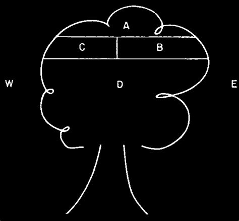 Diagram Of The Study Tree Showing The Four Tree Sections Download Scientific Diagram