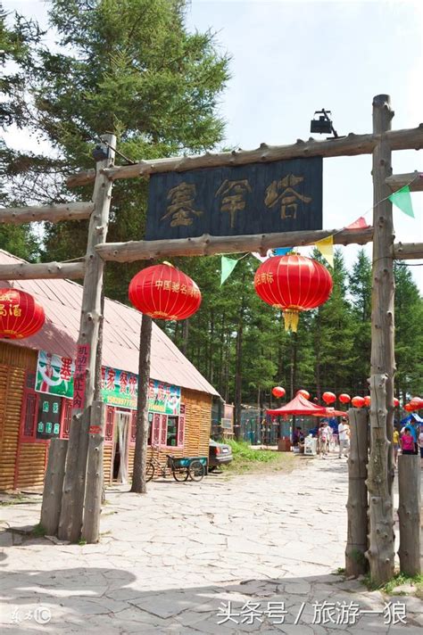塞罕垻公園皇家獵苑之一木蘭圍場 每日頭條