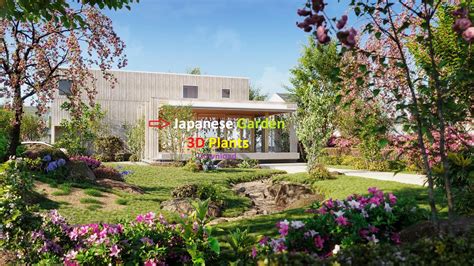 Japanese Garden Plants 3d Models 3dteamz