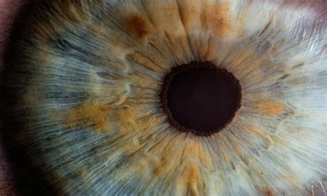 OpenAI Makes GPT Turbo With Vision API Generally Available Europeantech