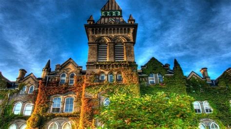 Tutorful How To Get Into University If You Have No Gcses