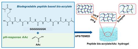 Biodegradable And Ph Sensitive Peptide Based Hydrogel As Controlled