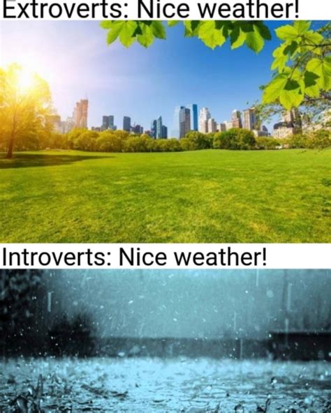 70 Of The Funniest Dank Memes From Twitter And Instagram Ebaums World