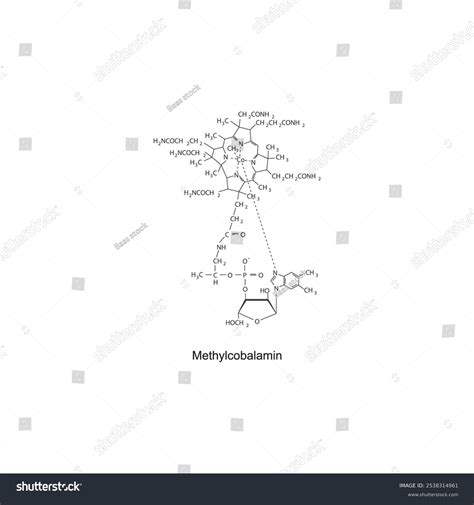 Methylcobalamin Skeletal Structure Diagramvitamin B12 Compound Stock Vector Royalty Free