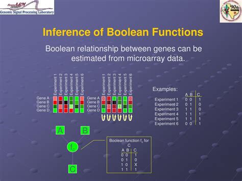 Ppt Boolean Relationship Between Genes Can Be Estimated From Microarray Data Powerpoint
