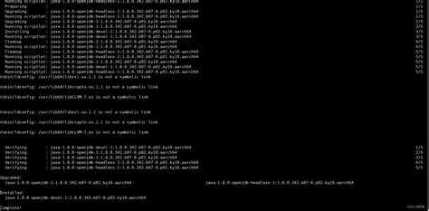 【linux】麒麟v10安装openjdk8麒麟v10 安装openjdk Csdn博客