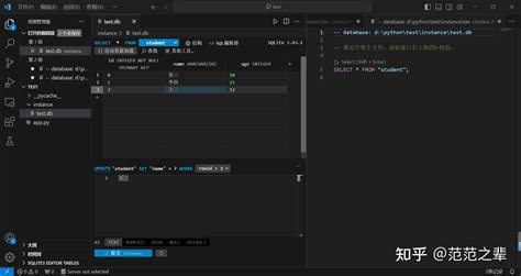 VsCode SQLite 数据库管理插件SQLite Editor 知乎