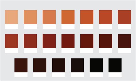 Color Palette Shades Of Copper And Rust Burnt Brown Warm Aged Colors With HEX Codes And