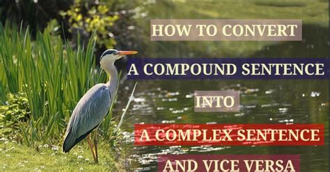 How To Convert A Compound Sentence Into A Complex Sentence And Vice Versa