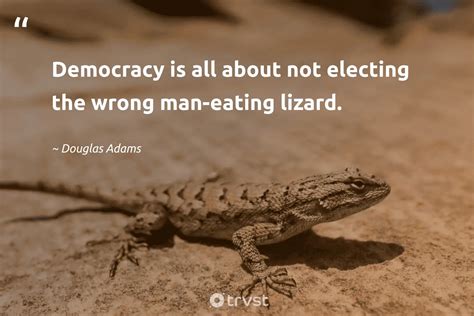 20 Lizard Quotes About The Ancient Adaptable Reptiles