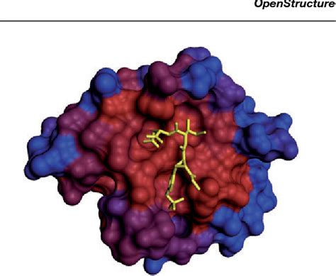 Figure 1 From Bioinformatics Applications Note Structural Bioinformatics Openstructure A