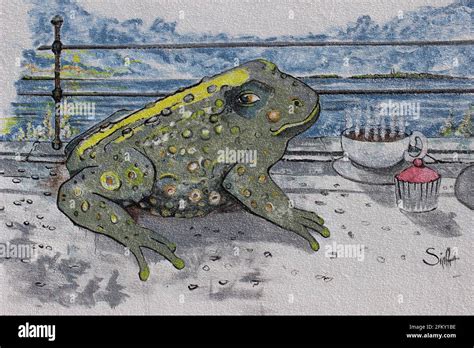 Natterjack Toad Comical Hi Res Stock Photography And Images Alamy