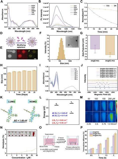 Rabies Virus Targeting Nir Ii Phototheranostics Journal Of The American Chemical Society