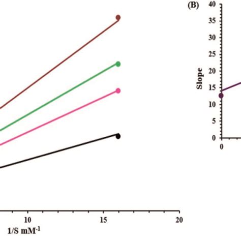 Crystallographic Structure Of Porcine Pancreatic Elastase Ppe
