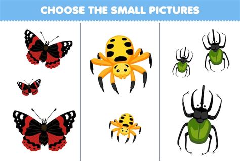 어린이를 위한 교육 게임은 귀여운 만화 나비 거미 딱정벌레 인쇄용 버그 워크시트의 작은 그림을 선택합니다 프리미엄 벡터