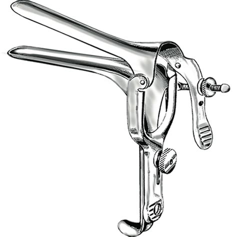 Difference Between Graves And Pederson Speculum At Donald Blanton Blog