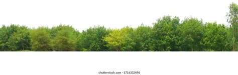 1 421 375 Tree Line Images Stock Photos Vectors Shutterstock