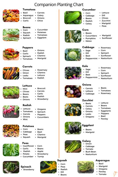 50 Times People Tried To Grow Their Own Food But Ended Up Hilariously