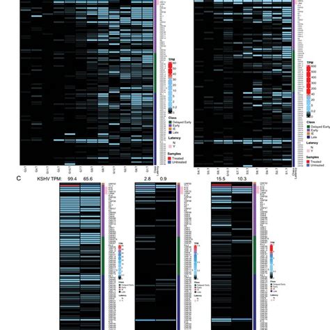 heatmaps of kshv gene expression ks tumors in gi a and skin b