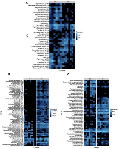 Figure 1 From The Aquila Digital Community The Aquila Digital Community
