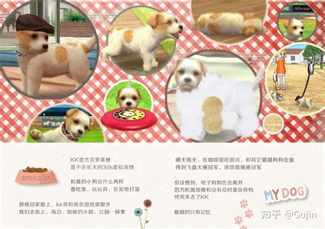 3ds任天狗游戏记录 知乎