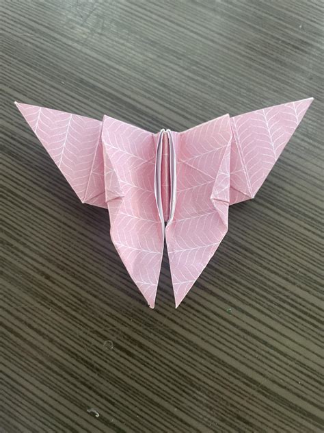 Origami Butterfly Rmildlyvagina
