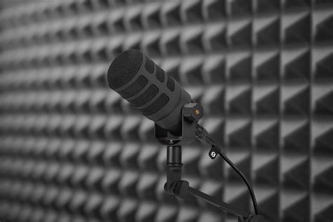 Audiopro Rode Ws14 Black Deluxe Pop Filter Za Podmic