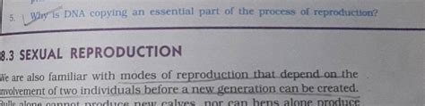 5 Why Is DNA Copying An Essential Part Of The Process Of Reproduction 8