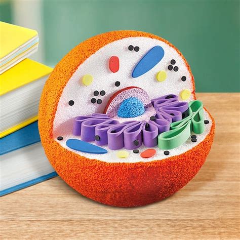 Plant Cell Model Styrofoam Ball
