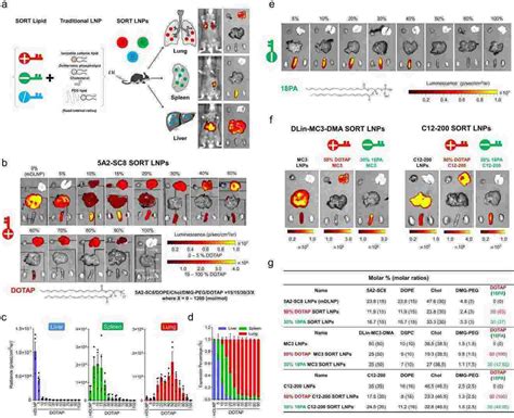 Selective Organ Targeting Nanoparticle Platform For Nanoformulations