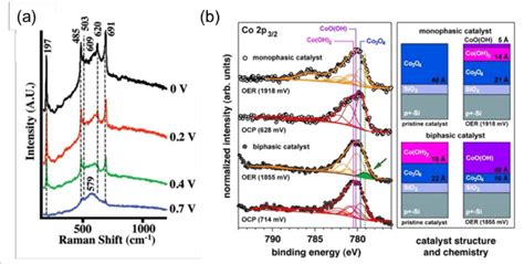 8 A In Situ Raman Spectra Of ∼87 Ml Cobalt Oxideau In 01 M Koh The