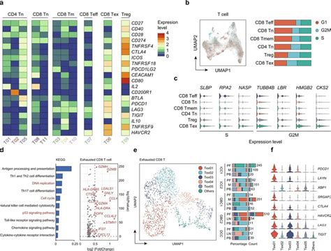 A Heatmap Of The Expression Patterns Of Genes Currently Targeted By Download Scientific Diagram