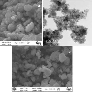 A SEM Image Of Fe3O4 Nanoparticle Coated With Peanut Oil Before Nickel Download Scientific
