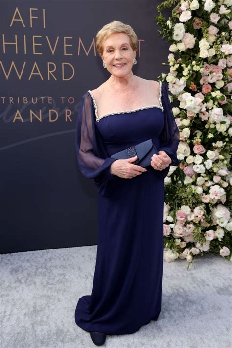 Julie Andrews Says Shed Be Open To Princess Diaries 3 But It