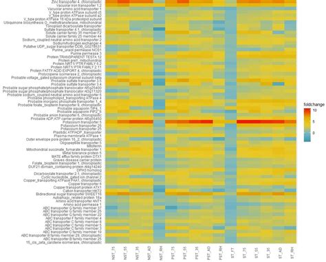 Unlock The Power Of Interactive Visualization With Ggplotly A Comprehensive Guide
