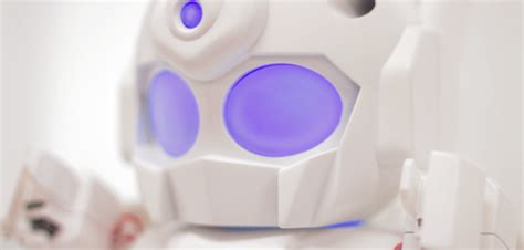 RAPIRO Robot The Coolector