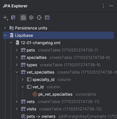 Liquibase IntelliJ IDEA Documentation