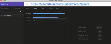 How To Use The WooCommerce API Without Knowing How To Code