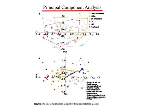 PPT Principal Component Analysis PowerPoint Presentation Free Download ID