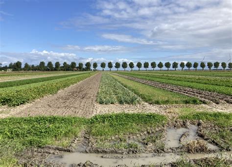 Regenerative Agriculture Gets Boost From National Growth Fund Wur