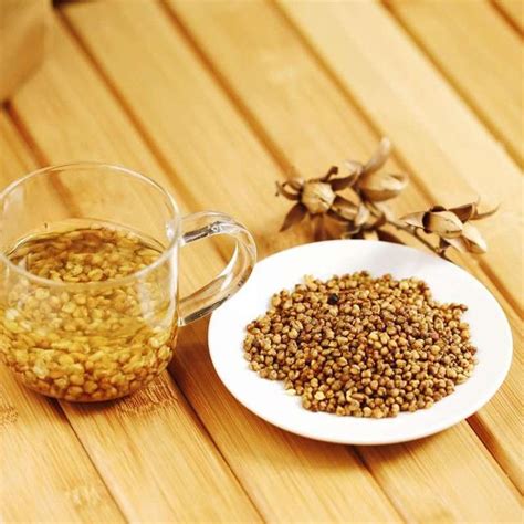 苦蕎茶大麥茶傻傻分不清楚深扒兩種茶功效禁忌及食用方法 每日頭條