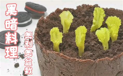 母女合作黑暗料理奥利奥盆栽画面里的饼干是彩泥做的哈 哔哩哔哩