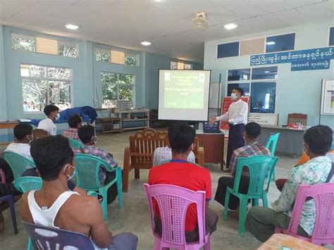 ပလောက်မြို့၊ ဆင်ထိုးကြီးကျေးရွာအုပ်စု၊ အင်းမကျေးရွာတွင် ရော်ဘာစိုက်ခင်းစီမံခန့်ခွဲမှုနှင့် ထုတ