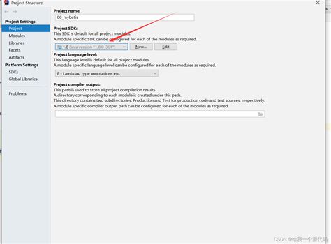 java lang illegalaccesserror error internal error java lang illegalaccesserro csdn博客