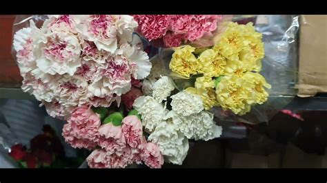 콜롬비아카네이션 뭉치 5단 생화 꽃집 꽃집창업 꽃값 온라인꽃시장 온라인꽃도매 인터넷꽃시장 인터넷꽃도매 서울꽃시장 꽃농장 꽃배송 생화배송 생화도매 생화택배 꽃배달 생화배달